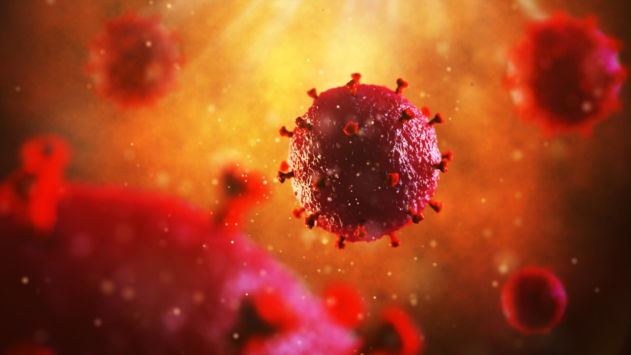 HIV Blood Borne Pathogens - HBV and HCV Information - eei