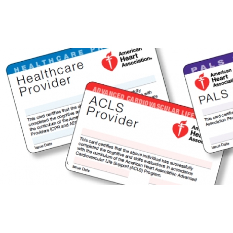 BLS/ACLS/PALS Instructor Combo | eei